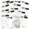 Montessori Practical Life Curriculum Step 1 Printable List - The ...