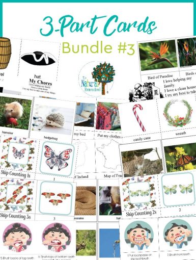 3-part Cards Bundle 3 - The Natural Homeschool Shop