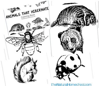 Animals in Winter Awesome Printable Bundle #1 - The Natural Homeschool Shop