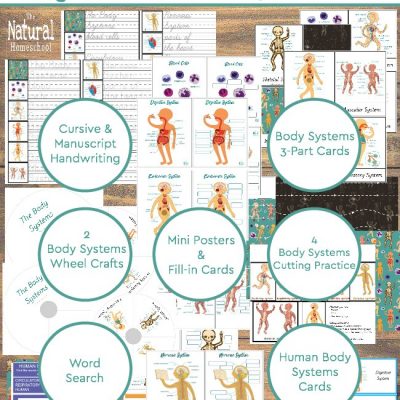 Printable Anatomy Set for Kids ~ Animal Cell and Skeletal System ...