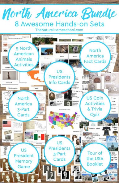 Interesting Facts about North America - The Natural Homeschool