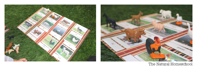7 Farm 3-part cards with mini replicas - The Natural Homeschool Shop