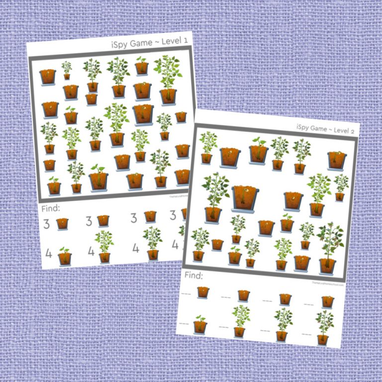 Soybean Plant Life Cycle for Kids ~ Printable Bundle - The Natural ...