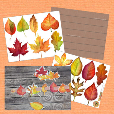 Montessori Fall Printable Bundle ~ 10 Activities - The Natural ...