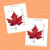 Montessori Fall Printable Bundle ~ 10 Activities - The Natural ...